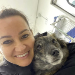 EDUCAVET – Escola para Médicos Veterinários